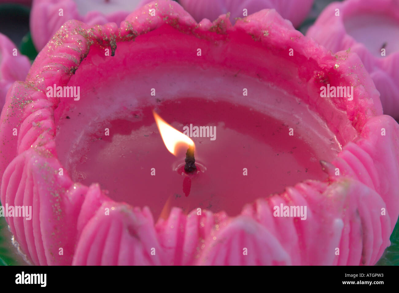 Buddhist lotus prayer candle hope love peace caring Stock Photo - Alamy