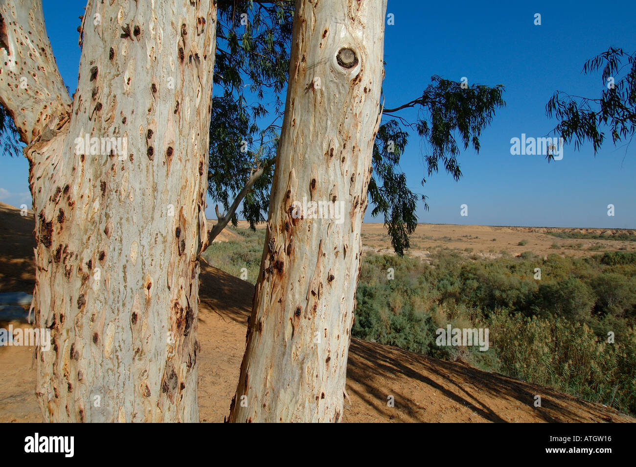 Wadi besor israel hi-res stock photography and images - Alamy