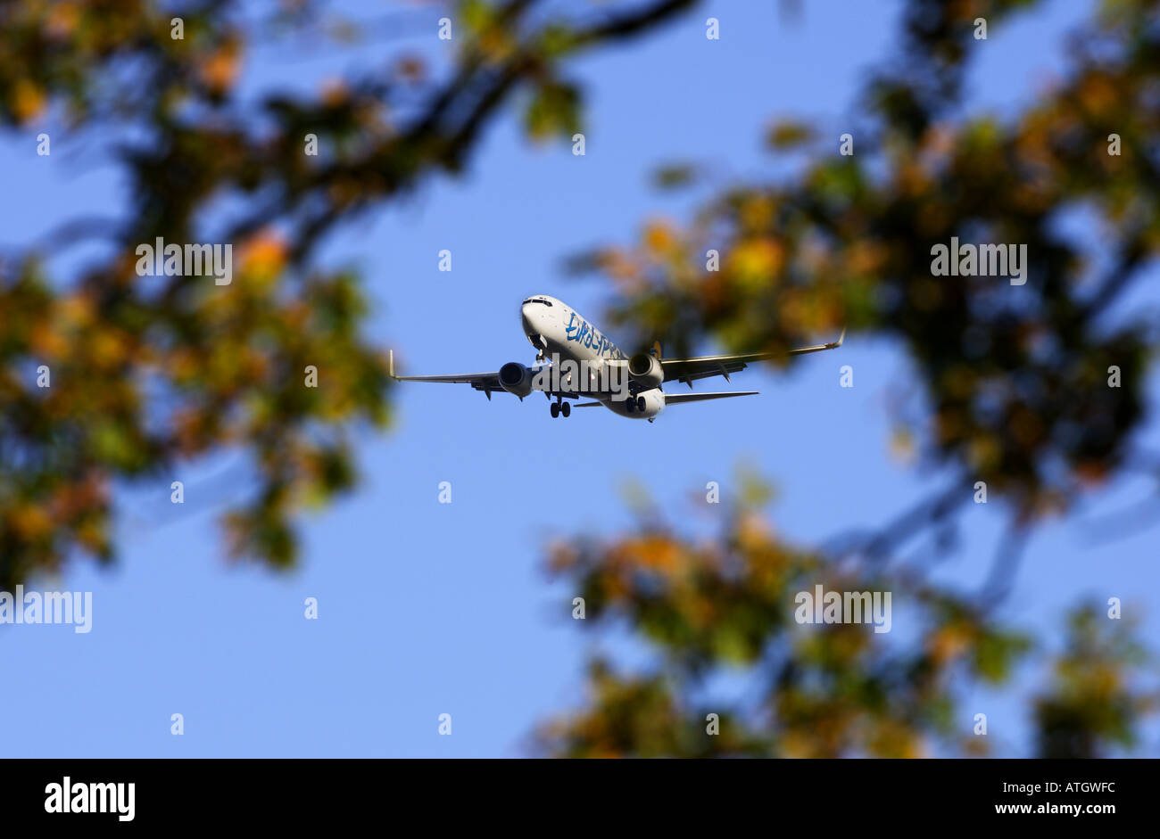 Boeing on tree Stock Photo - Alamy