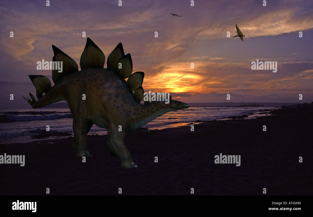 Stegosauridae hi-res stock photography and images - Alamy