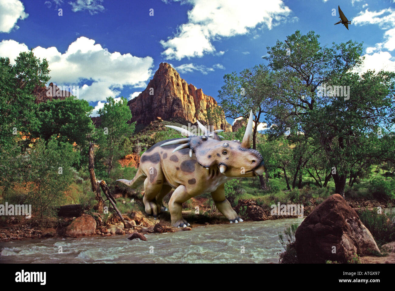 Styracosaurus hi-res stock photography and images - Alamy