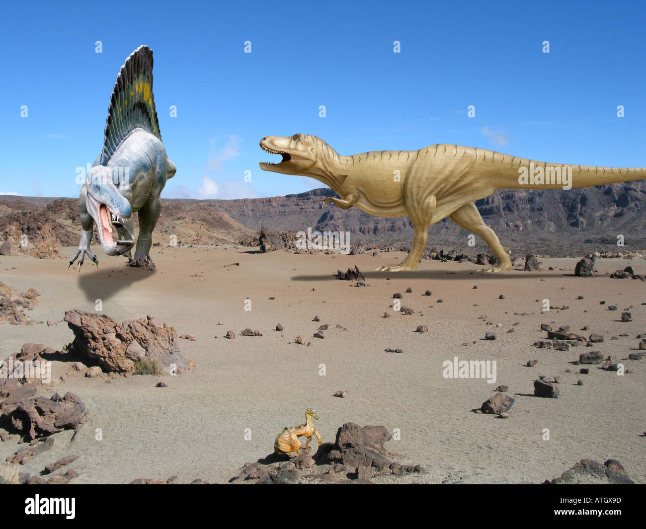 Tyrannosauridae hi-res stock photography and images - Alamy