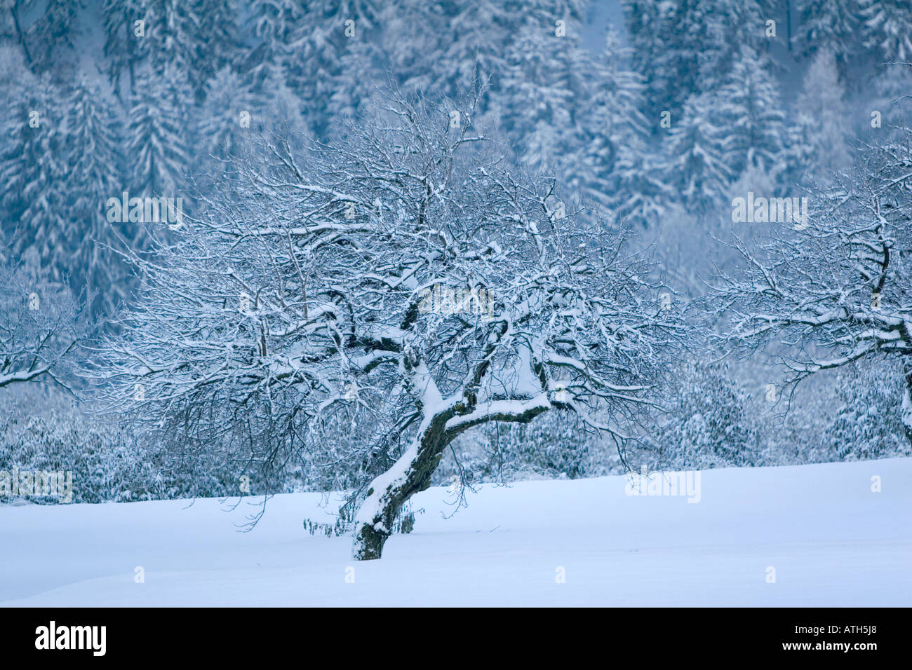 Leaning into wind mountain hi-res stock photography and images - Alamy