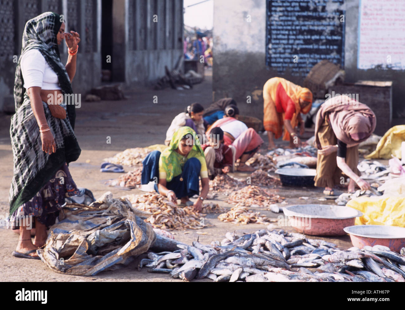 Fish Market Diu Gujarat High Resolution Stock Photography and Images ...