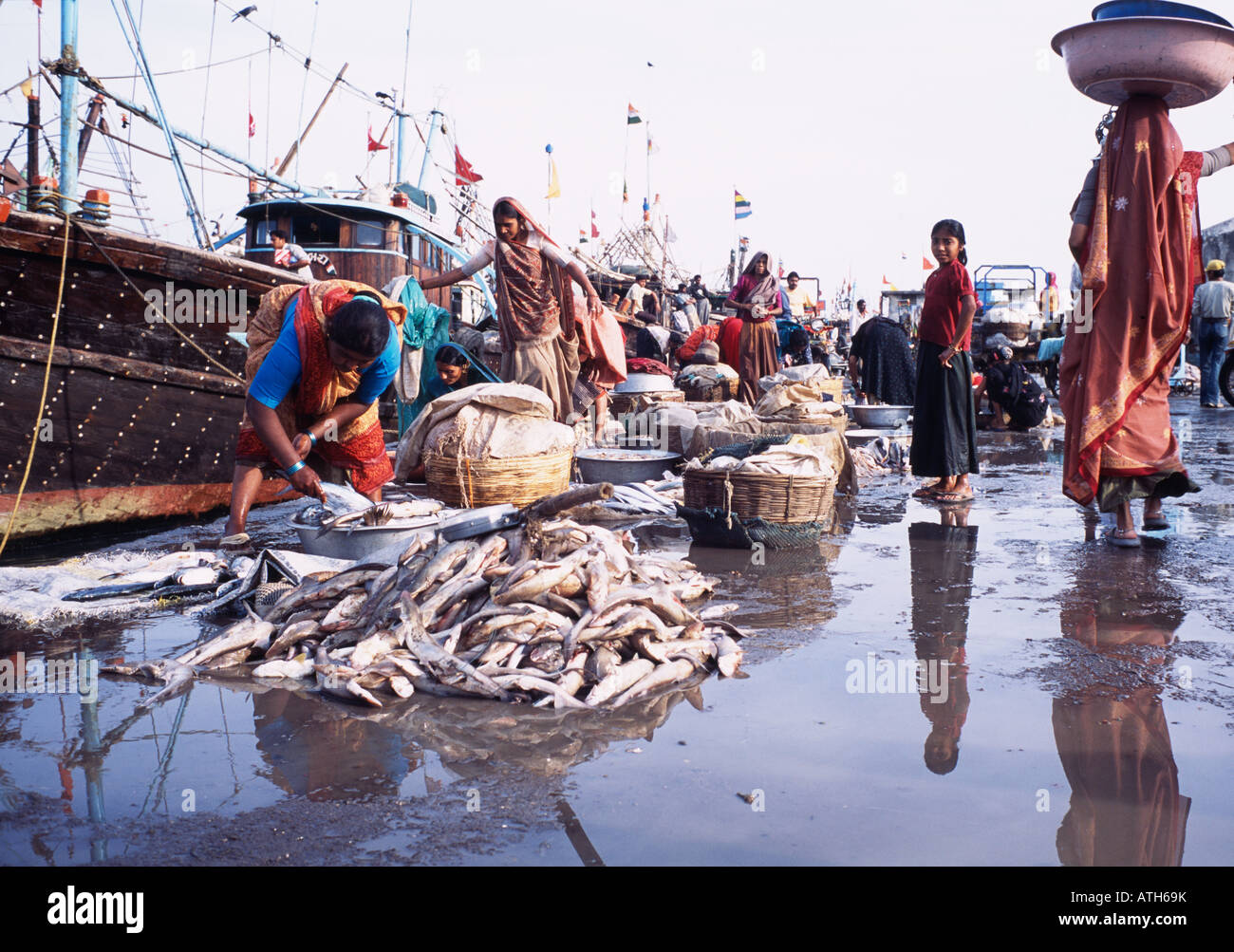 Fish market diu gujarat hi-res stock photography and images - Alamy