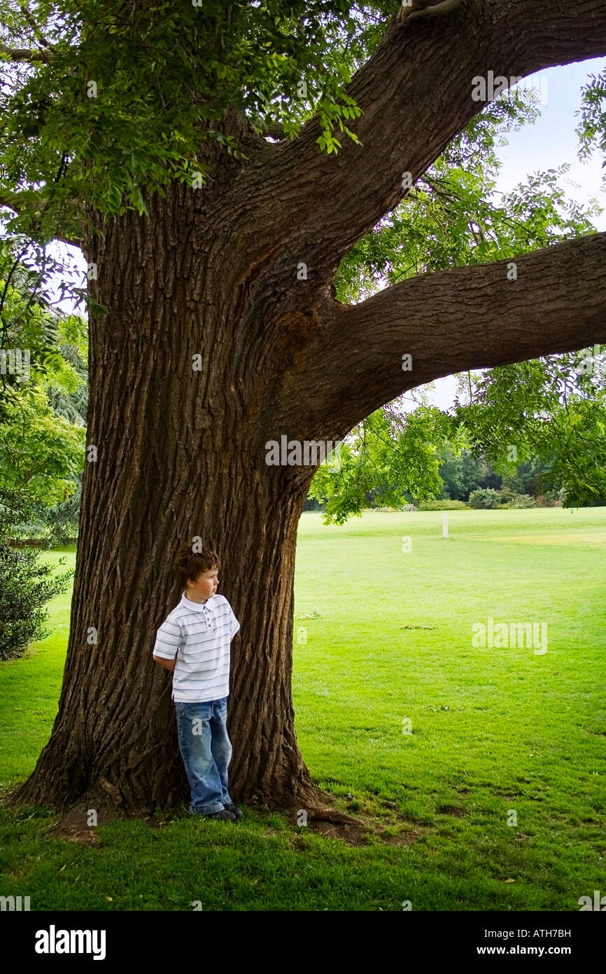 Boy by tree Stock Photo - Alamy