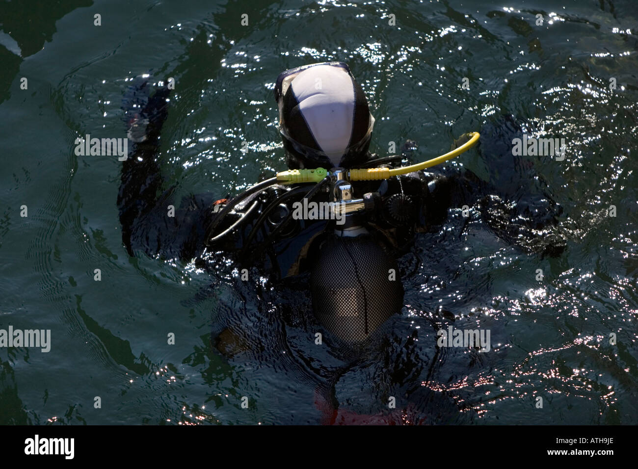 Subaqua diver on surface of shallow mountain river Stock Photo - Alamy