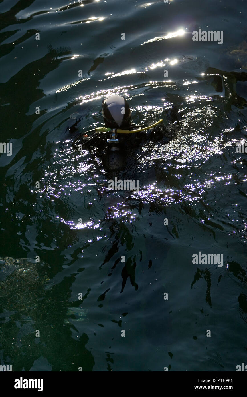 Subaqua diver on surface of shallow mountain river Stock Photo - Alamy