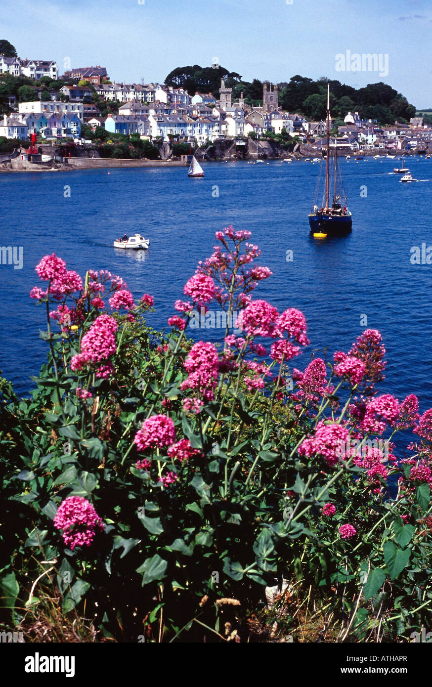 polruan to fowey view across River Fowey estuary cornwall england uk gb ...