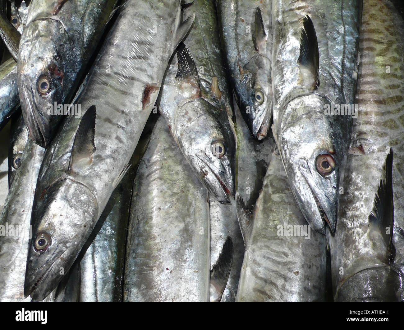 Fresh kingfish at Billingsgate Fish Market, London Stock Photo ...