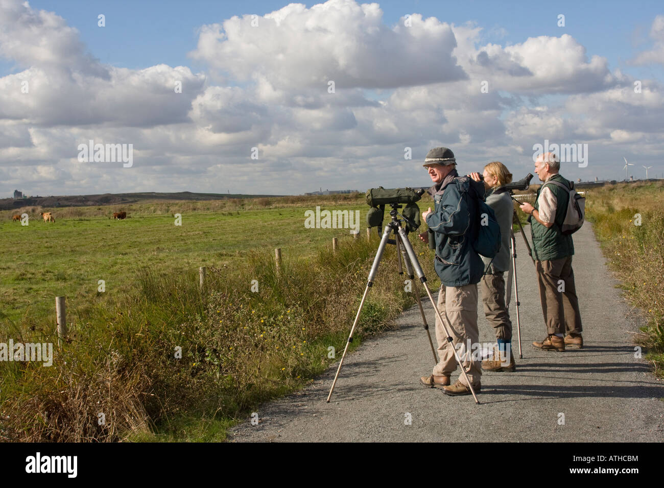 Rainham Marshes RSPB bird reserve located east of London at Rainham ...