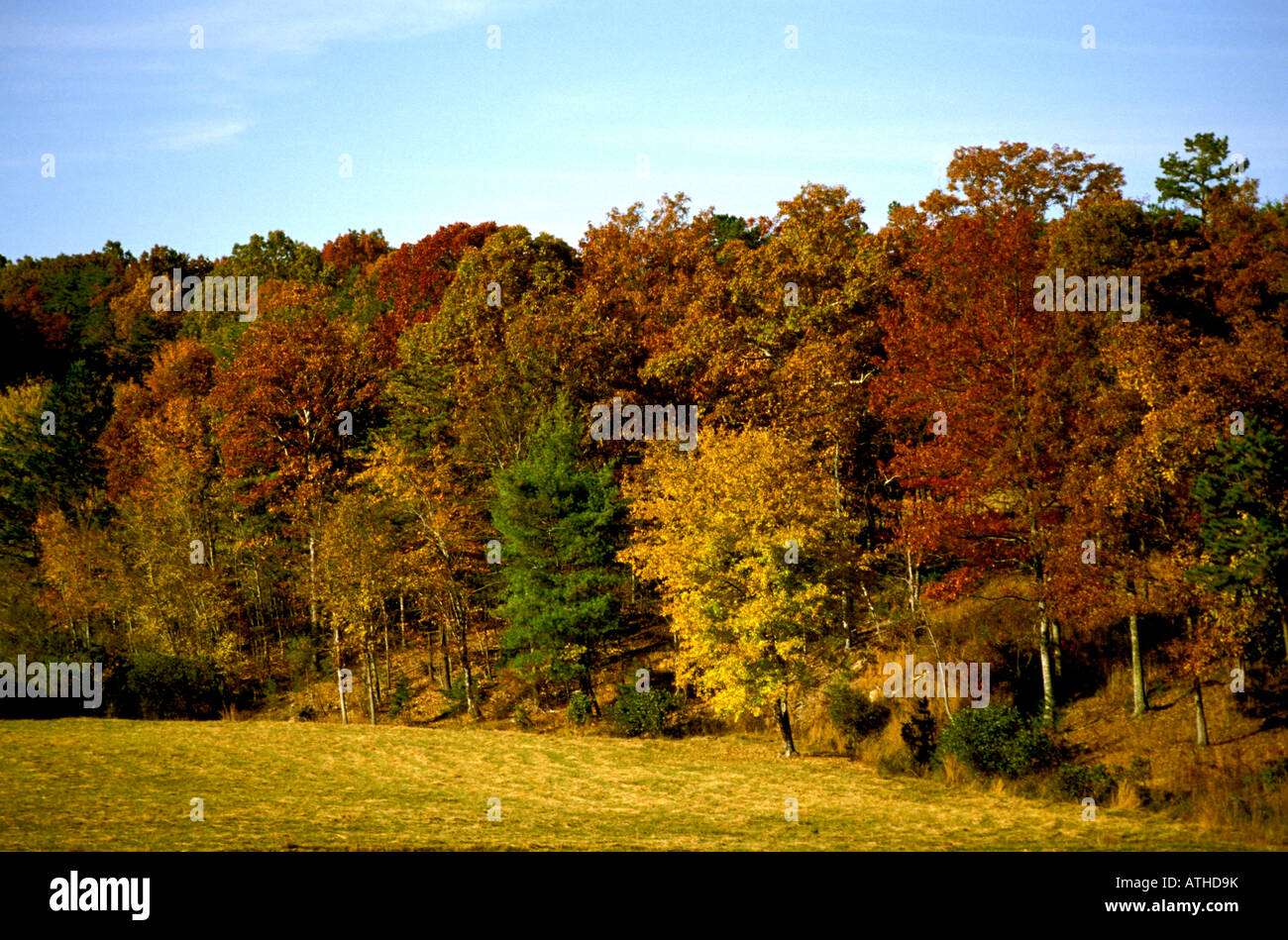 TN Tennessee Great Smoky Mountains National Mtns Cades Cove Fall color ...