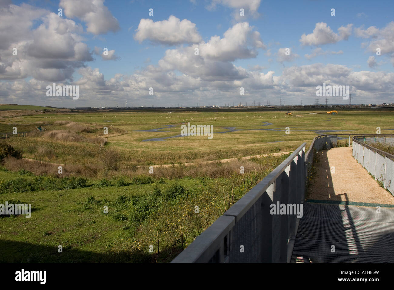 Rainham Marshes RSPB bird reserve located east of London at Rainham ...