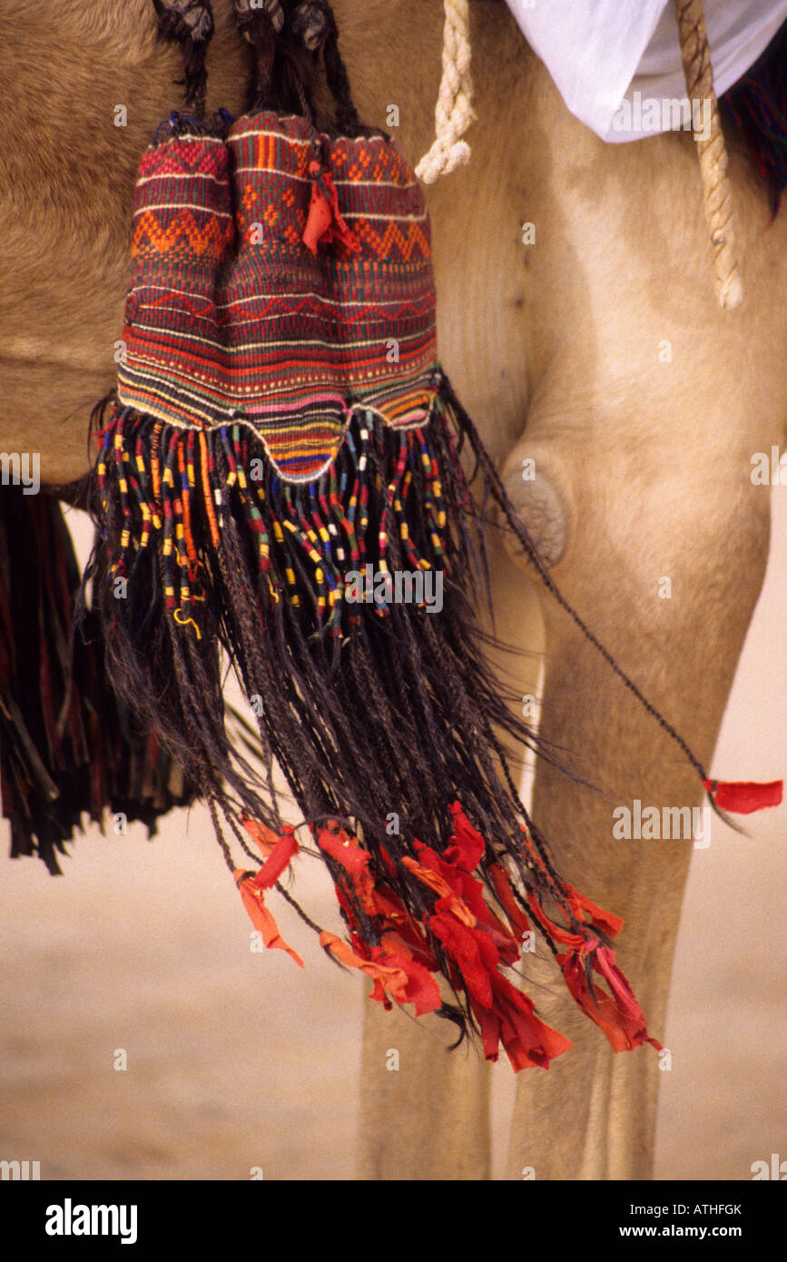 In-Gall, near Agadez, Niger. Tuareg Camel Decorations Stock Photo - Alamy