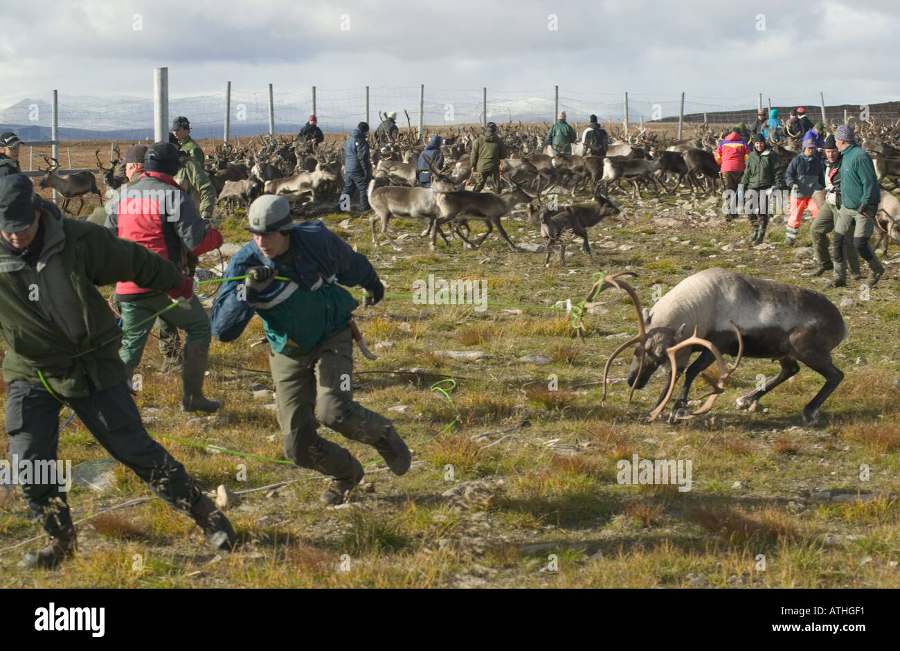 Sami people hi-res stock photography and images - Alamy
