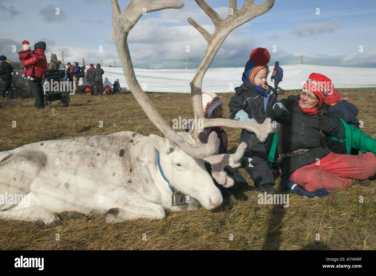 Sami child reindeer hi-res stock photography and images - Alamy