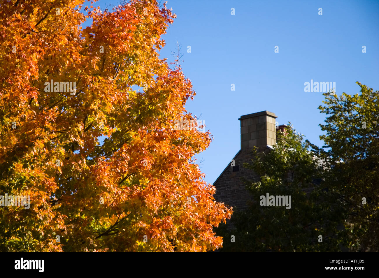 Fall historic hi-res stock photography and images - Alamy