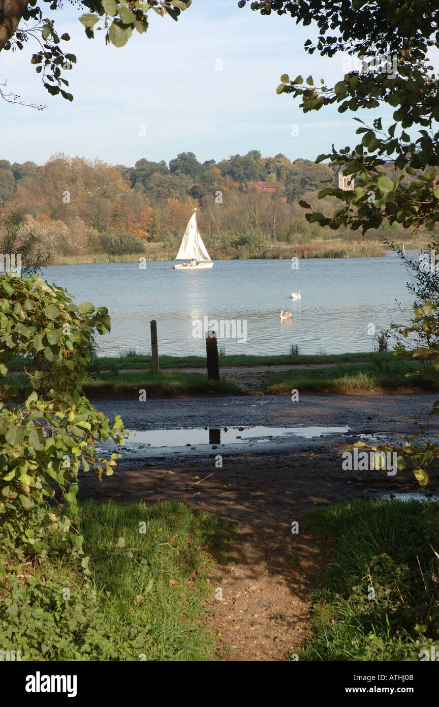 Norfolk broad autumn hi-res stock photography and images - Alamy