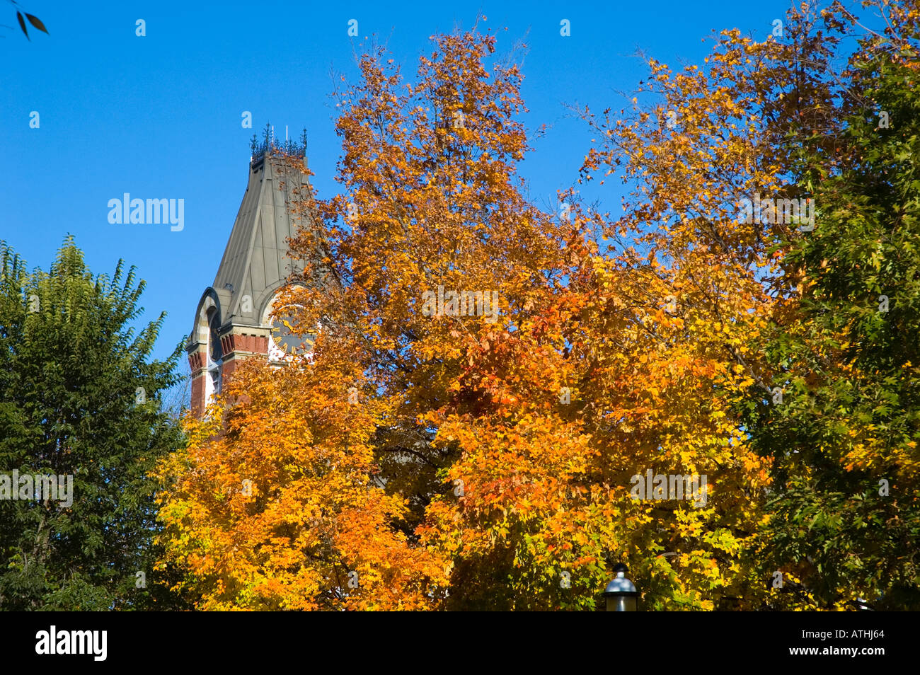 Clock tower fredericton city hall hi-res stock photography and images ...