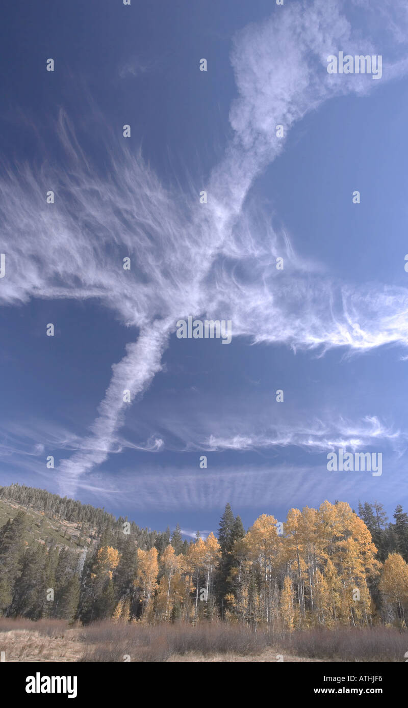 The sky view is very inspiring along with the fall color Stock Photo ...