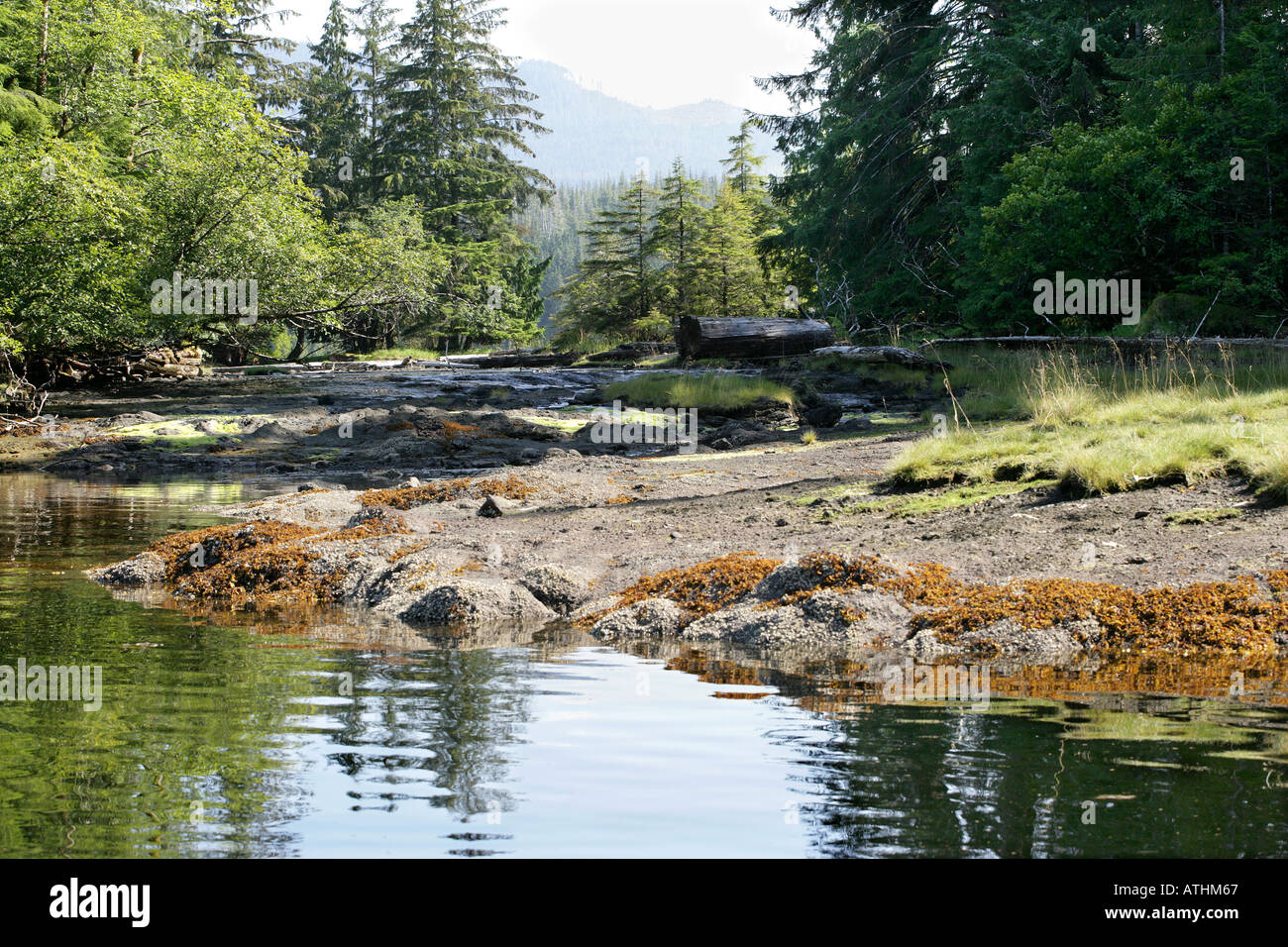 Where Sea Water meets Fresh Water [2] in Masset Inlet, the Queen ...