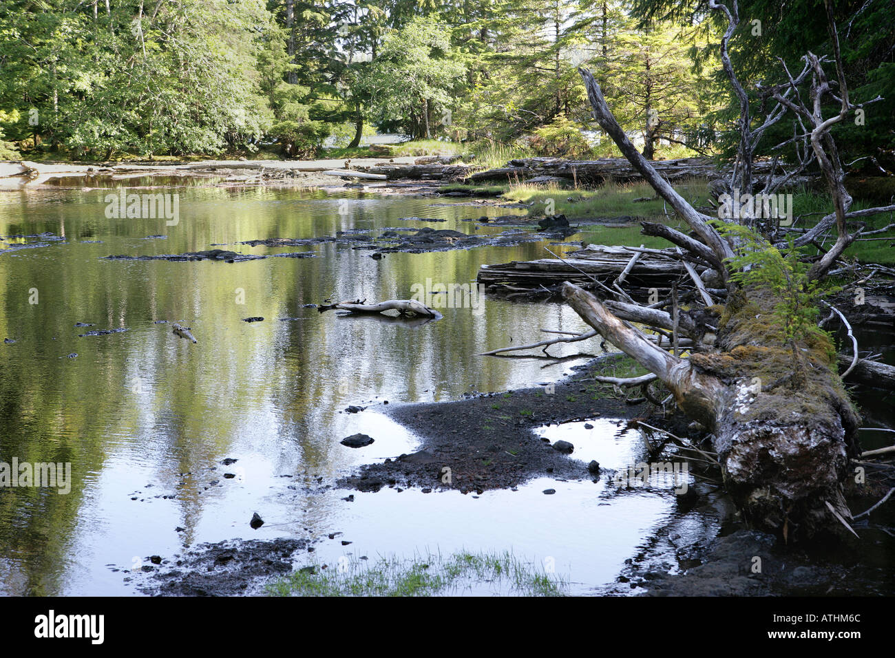 Where Sea Water meets Fresh Water [4] in Masset Inlet, the Queen ...