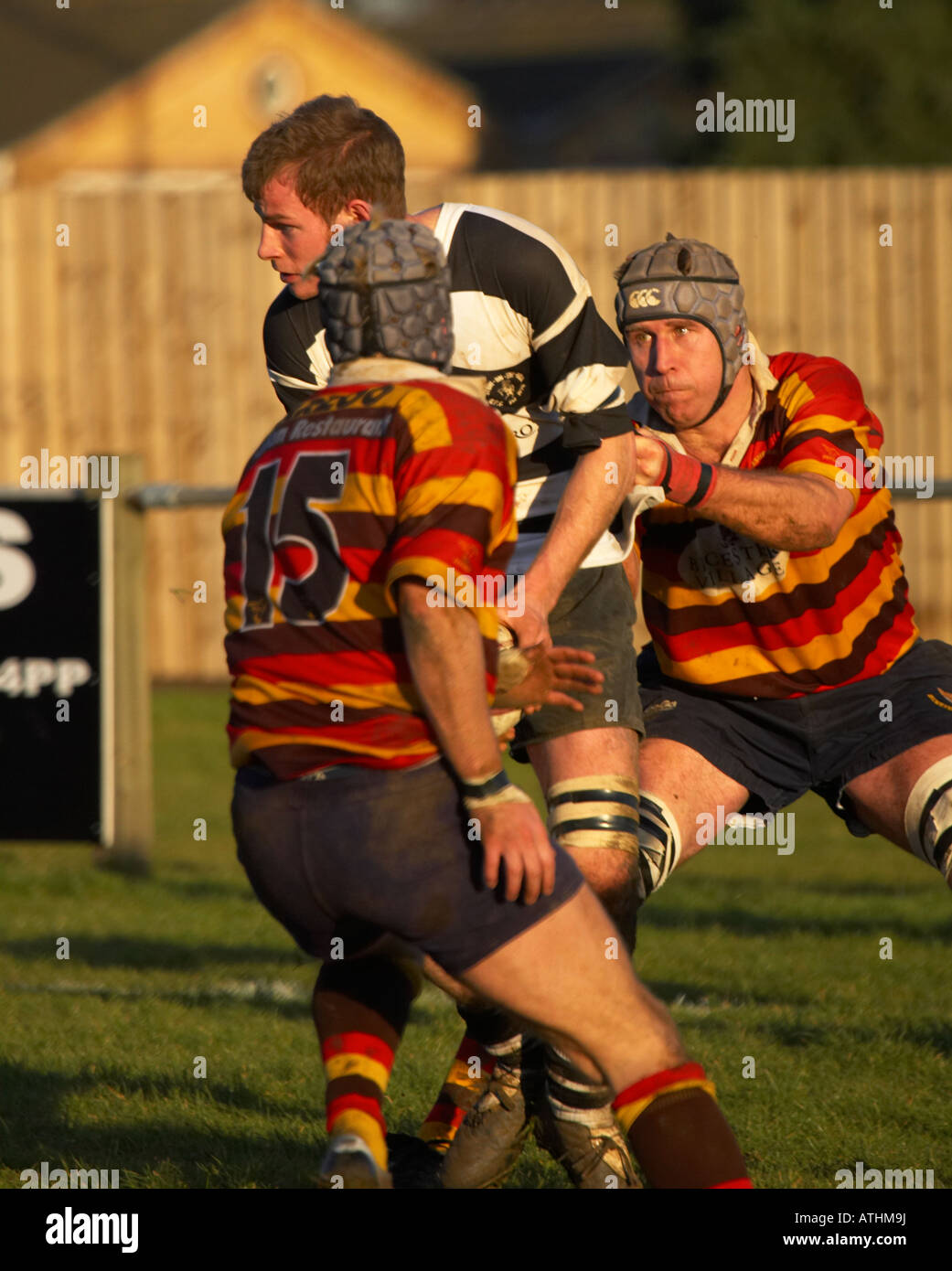 Rugby try score hi-res stock photography and images - Alamy
