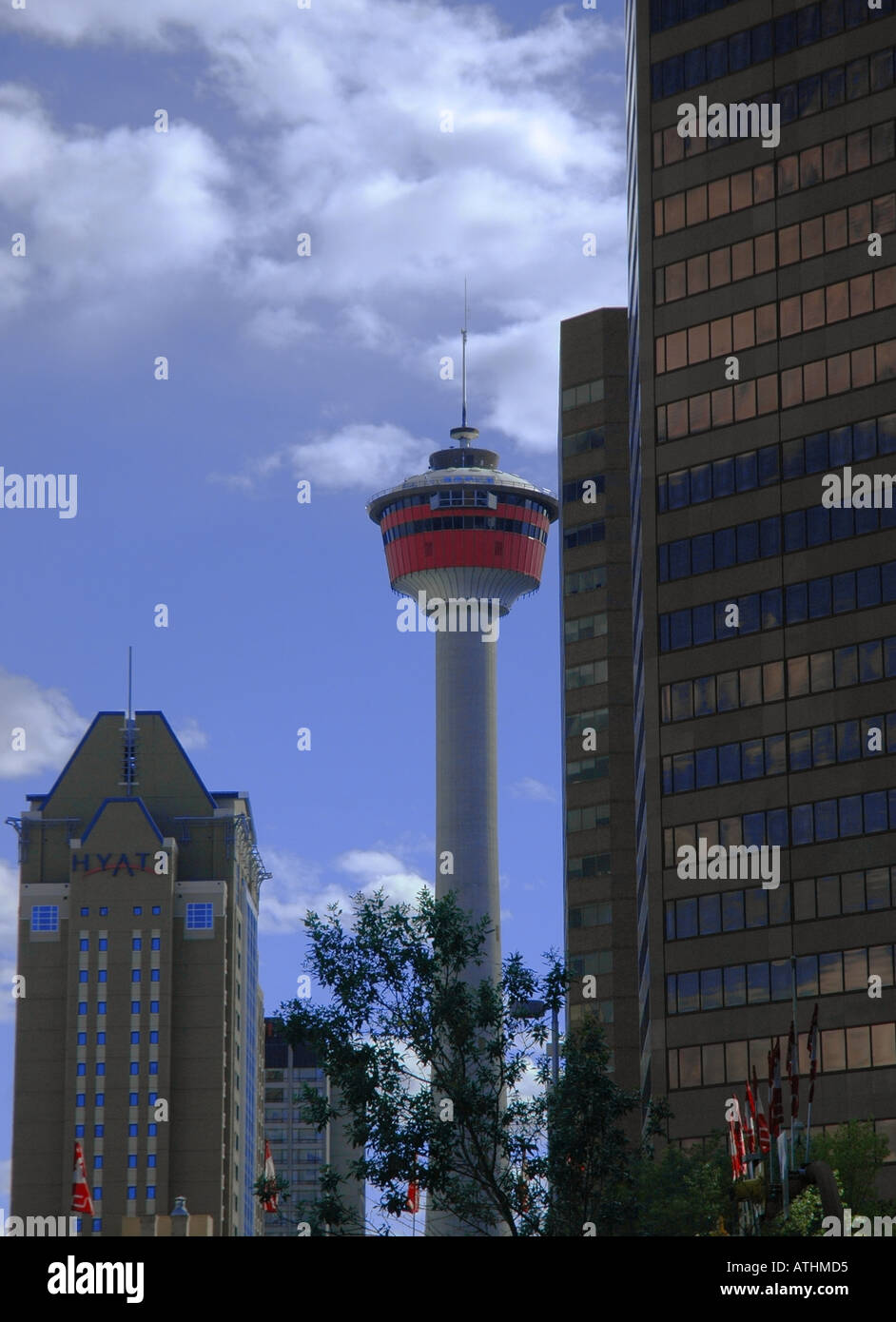 Calgary Tower and Downtown Stock Photo - Alamy