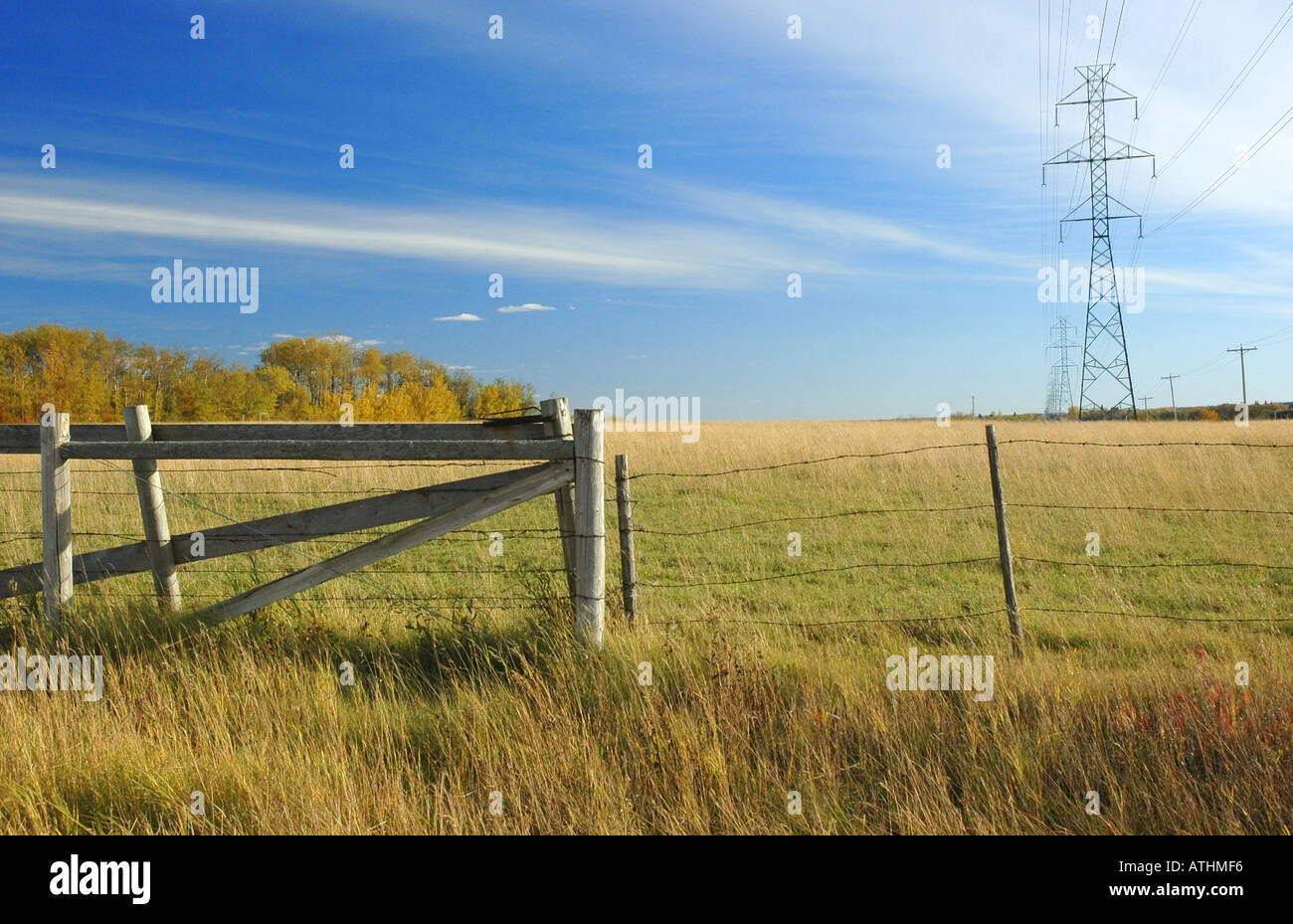 Country Field and Powerlines Stock Photo - Alamy