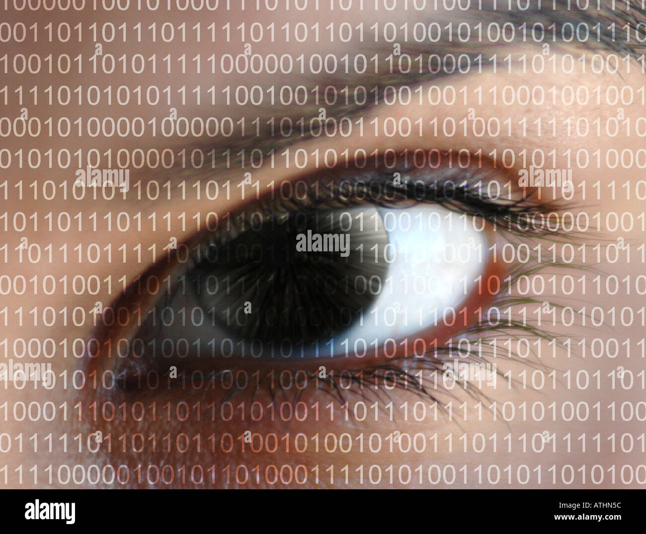 Woman s Eye and Binary Code Stock Photo - Alamy