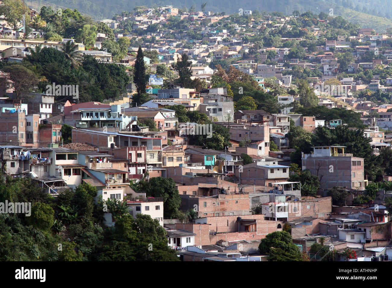Houses on the densely populated hillsides of the neighborhood of ...