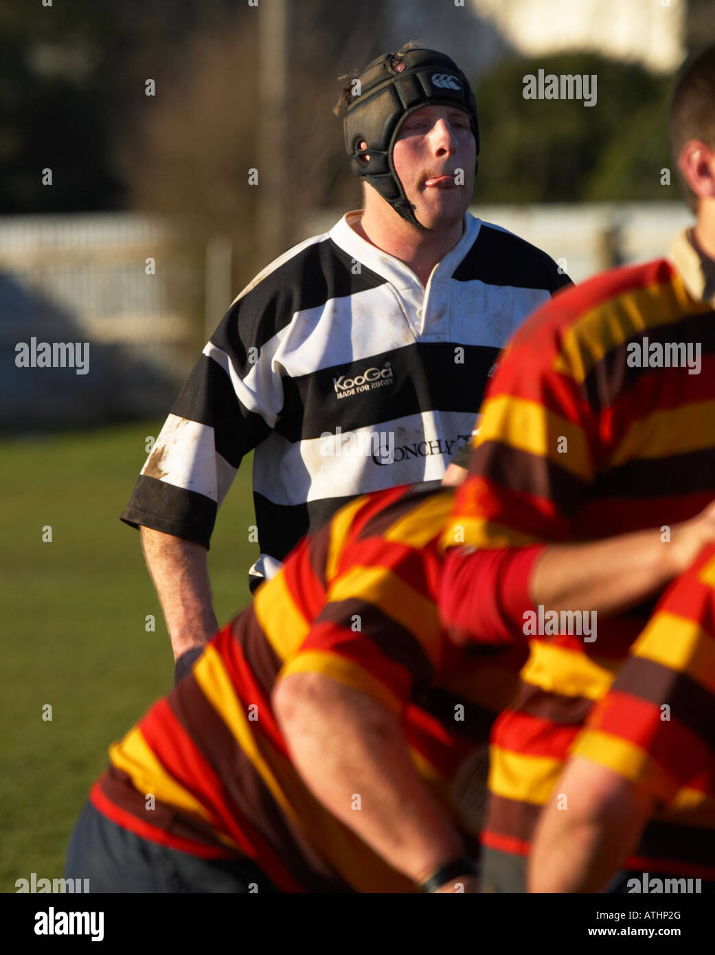 A game of rugby Stock Photo - Alamy