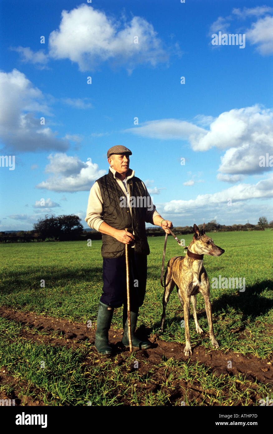 Lurcher hunting hi-res stock photography and images - Alamy