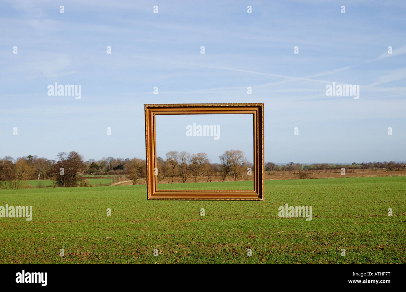 Seeing anew hi-res stock photography and images - Alamy