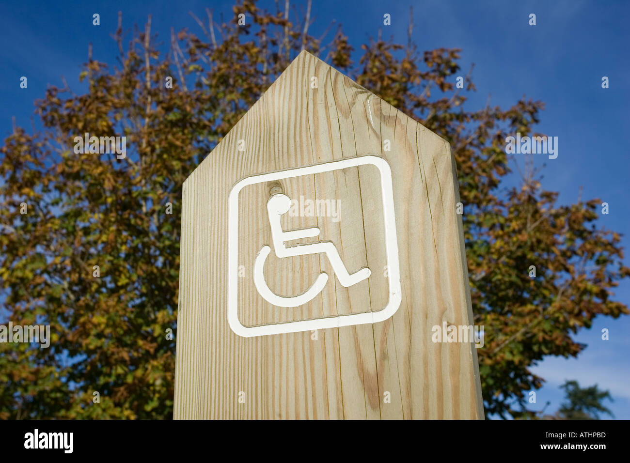 Disabled access sign on wooden post Westonbirt Arboretum UK Stock Photo ...