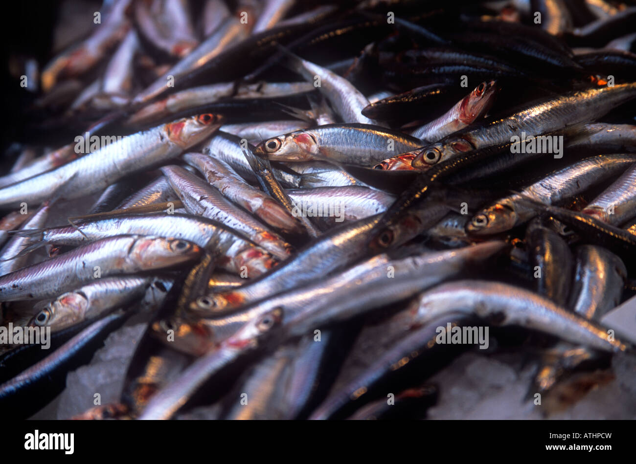 Sardines at a market stall in Venice Italy Stock Photo - Alamy