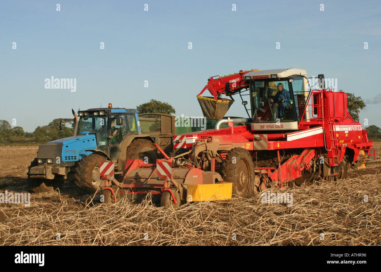 Self propelled potato harvester loading a trailer Stock Photo - Alamy