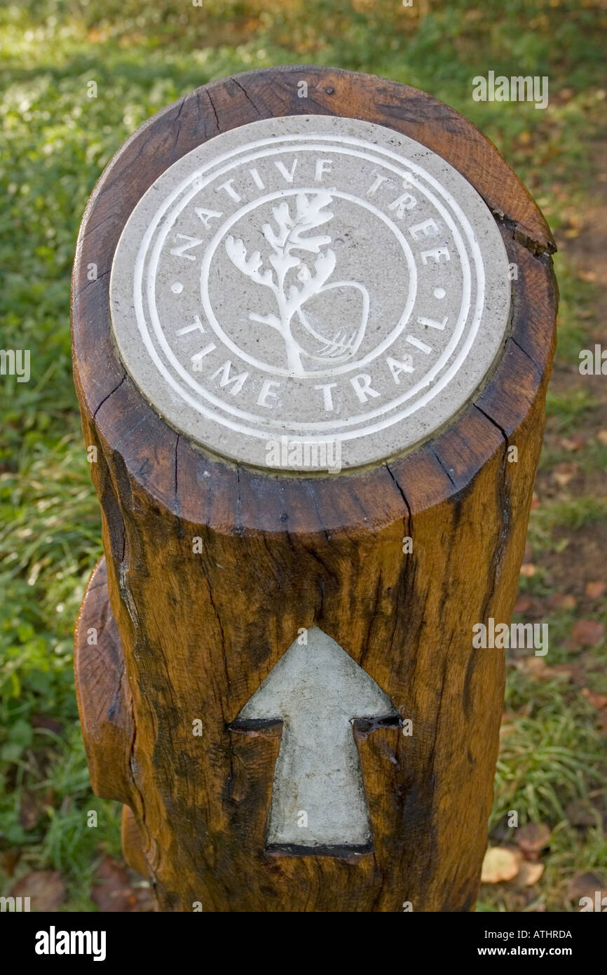 Signpost for Native Tree Time Trail on wooden post Westonbirt Arboretum ...