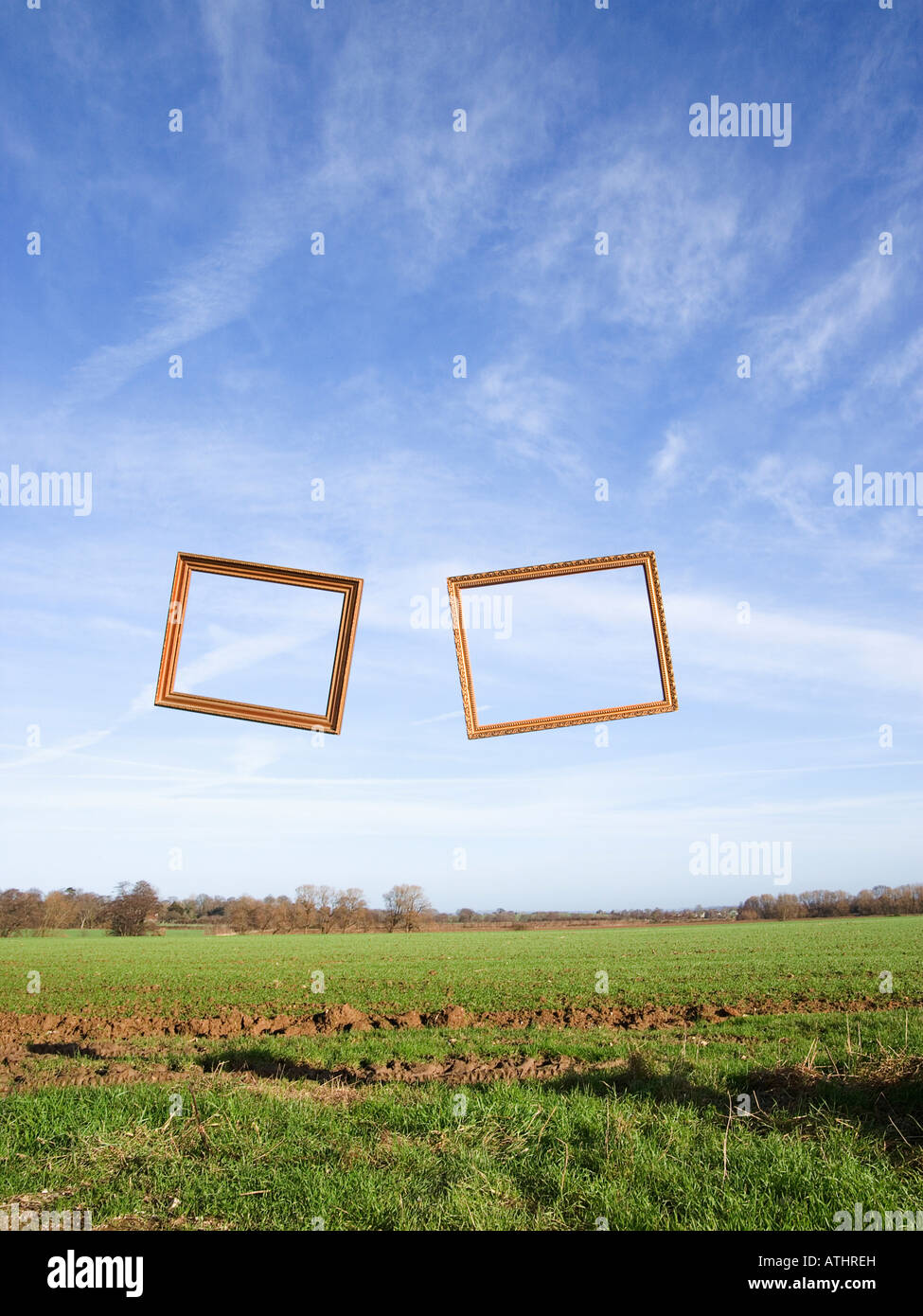 Picture frame in a landscape Stock Photo - Alamy