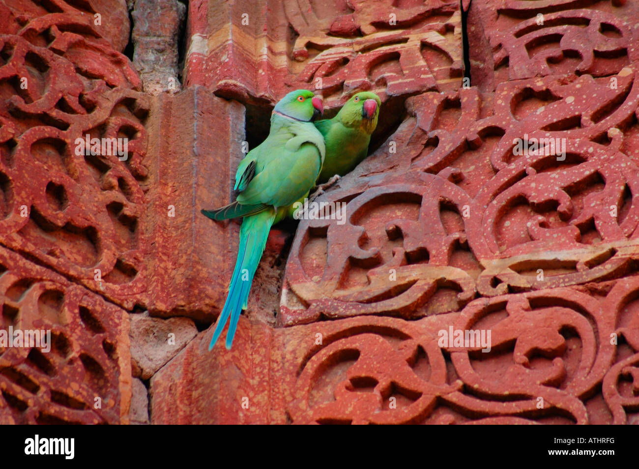 Kutub minar hi-res stock photography and images - Alamy