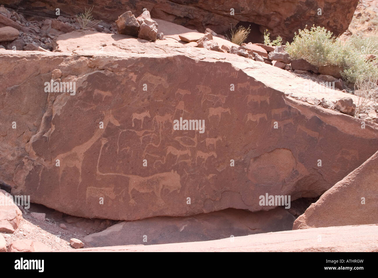 Rock paintings in Twyfelfontein, Namibia Stock Photo - Alamy
