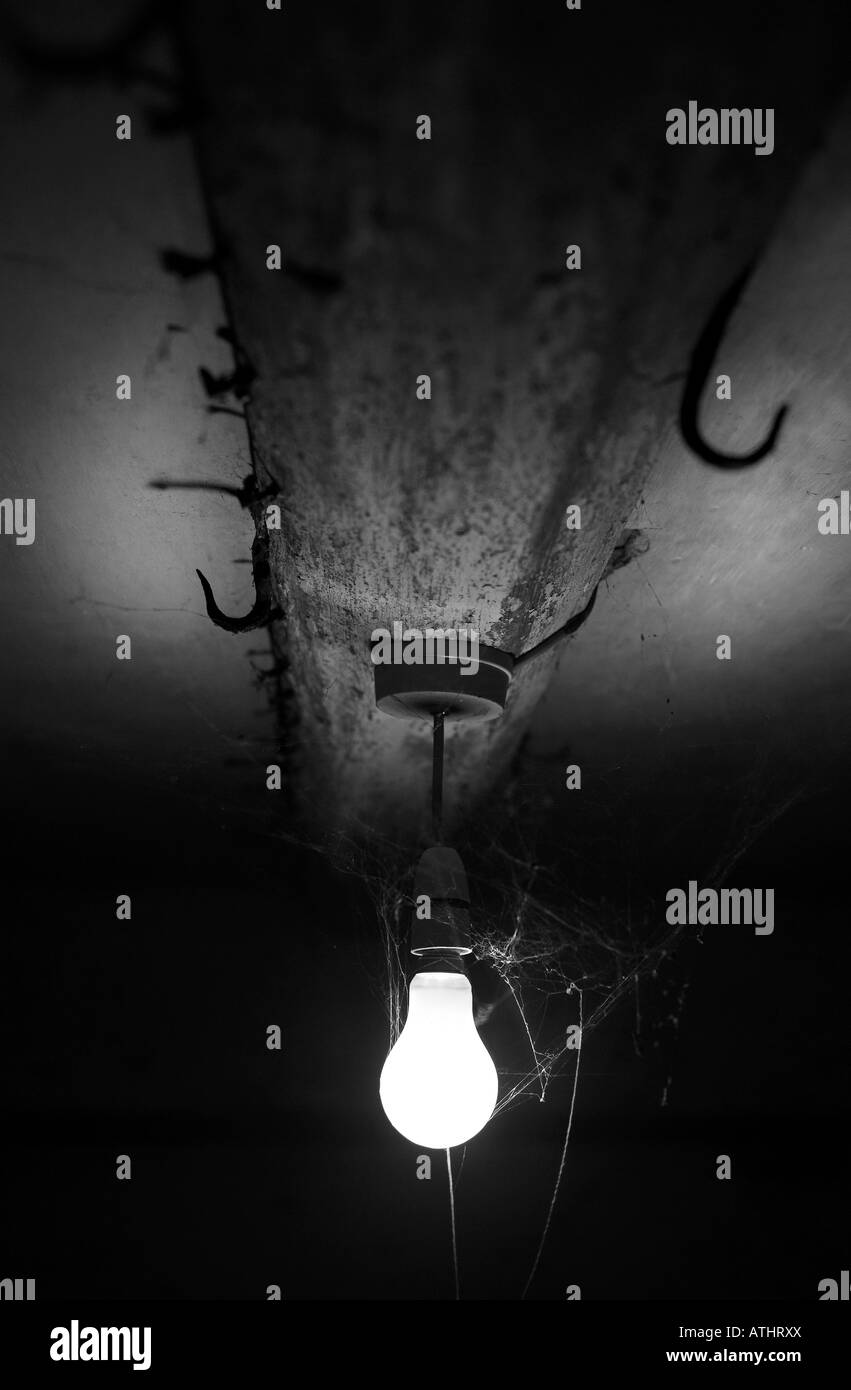 Lightbulb and cobwebs in creepy cellar. Illustration of hard times ...
