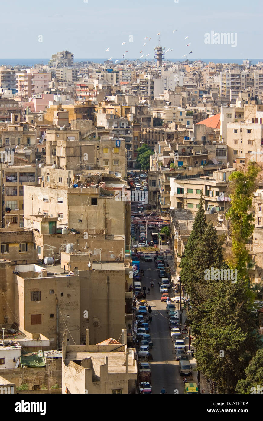 view from citadel of Tripoli, Lebanon Stock Photo - Alamy