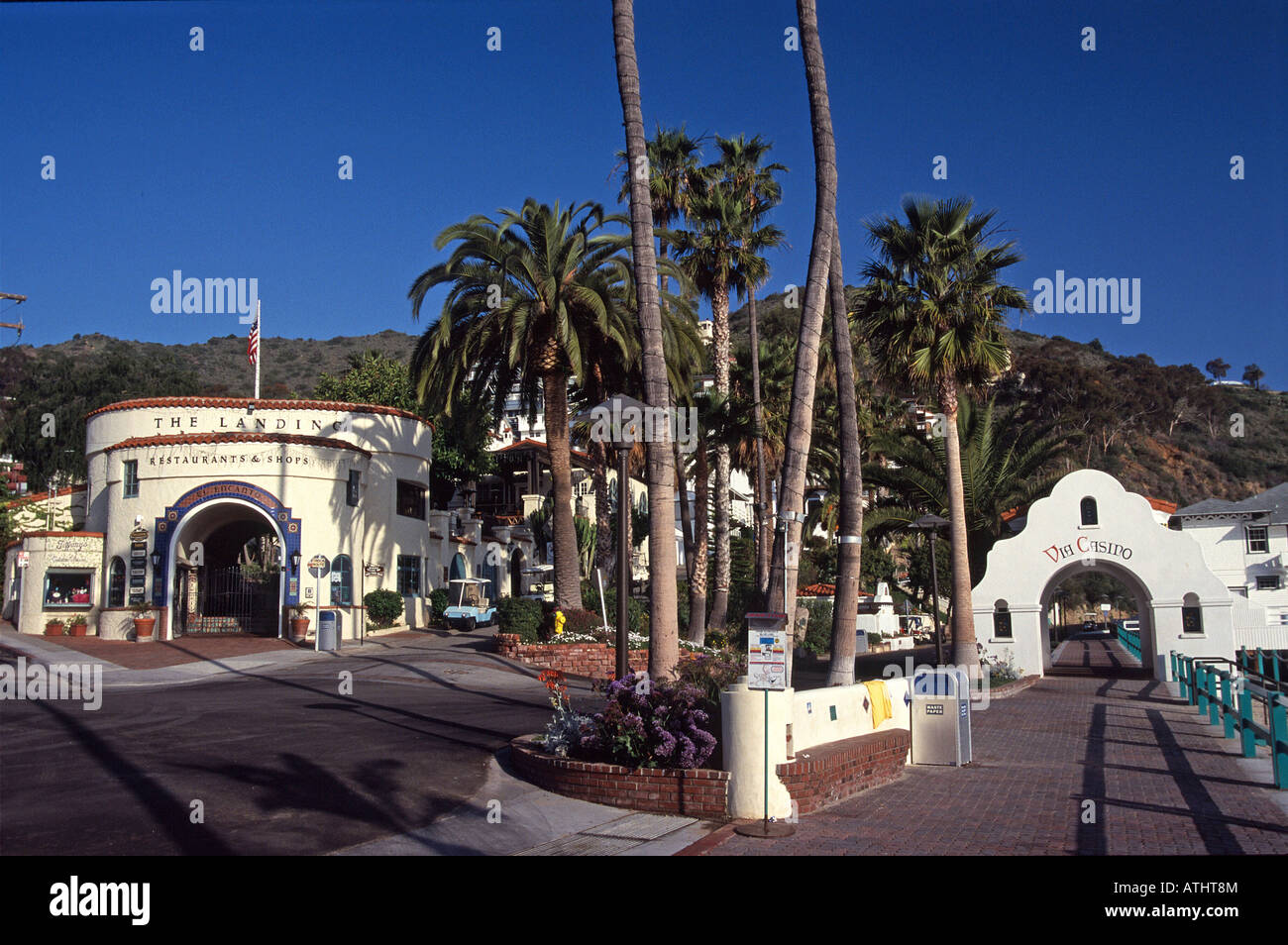 Catalina island, street, tree palm, blue sky, california Stock Photo ...
