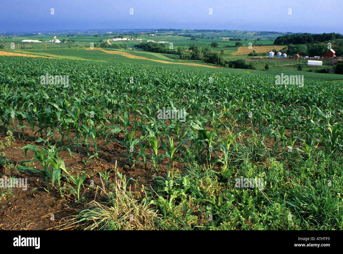 Balltown hi-res stock photography and images - Alamy