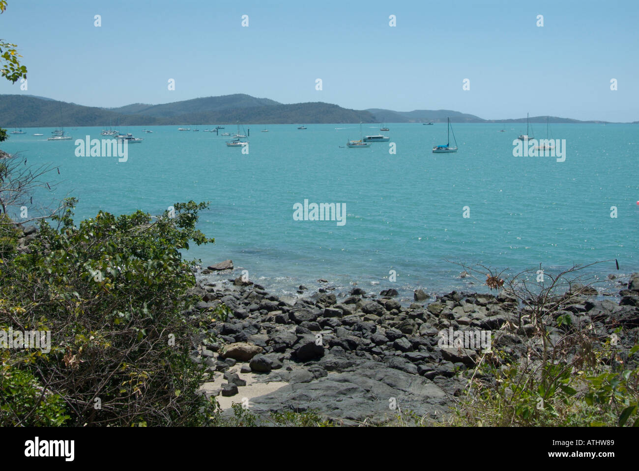 airlee beach queensland Proserpine Airlee Beach australia australian ...