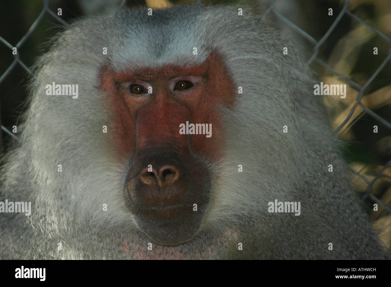 Spark in eyes hi-res stock photography and images - Alamy