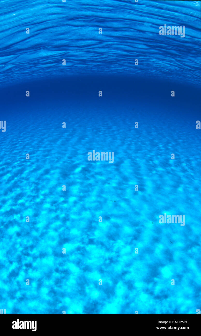 Clear blue water, Bahamas, blue water, clear water, blue sky, blue ...