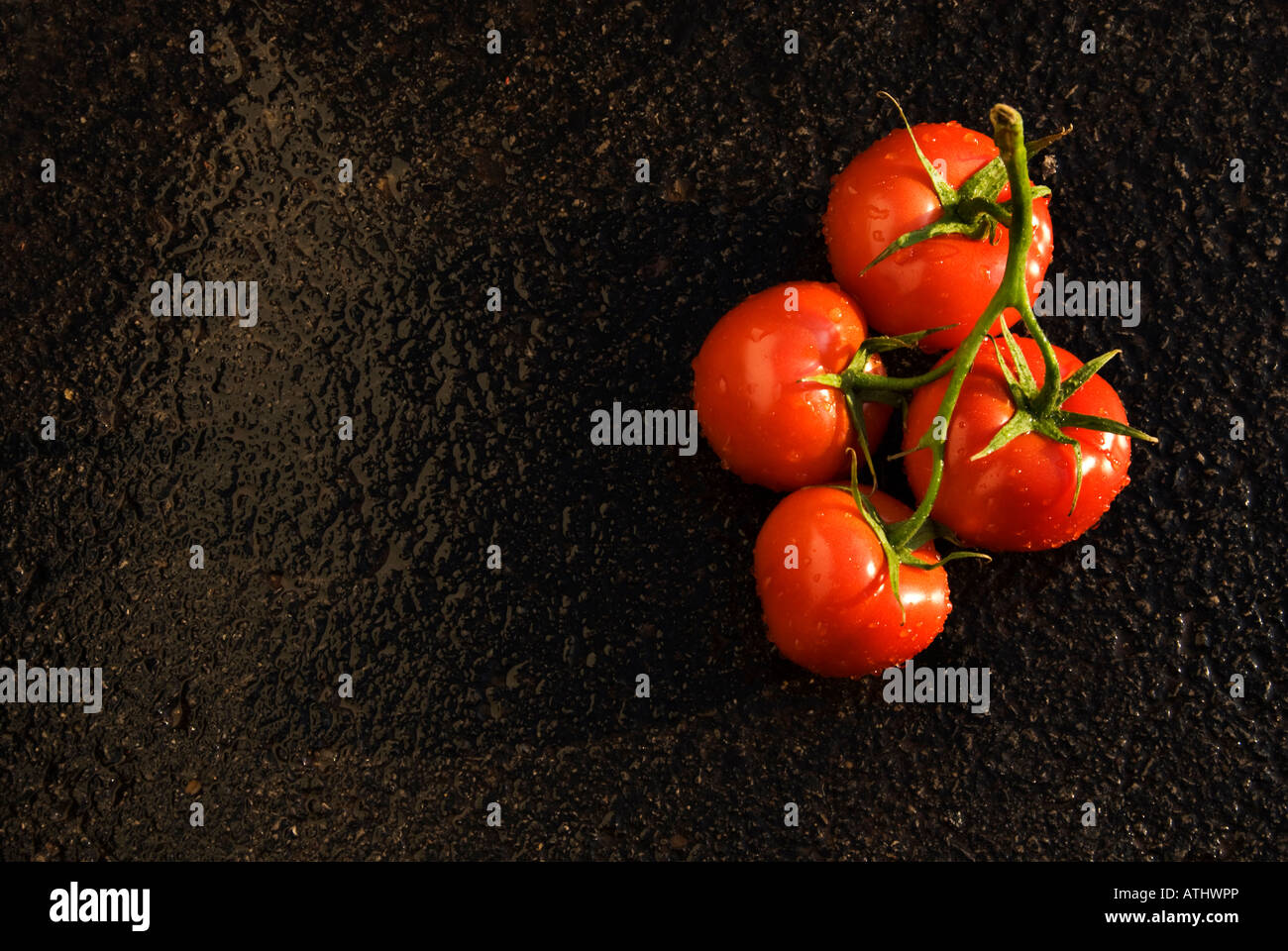 Four red tomatoes on vine Stock Photo - Alamy