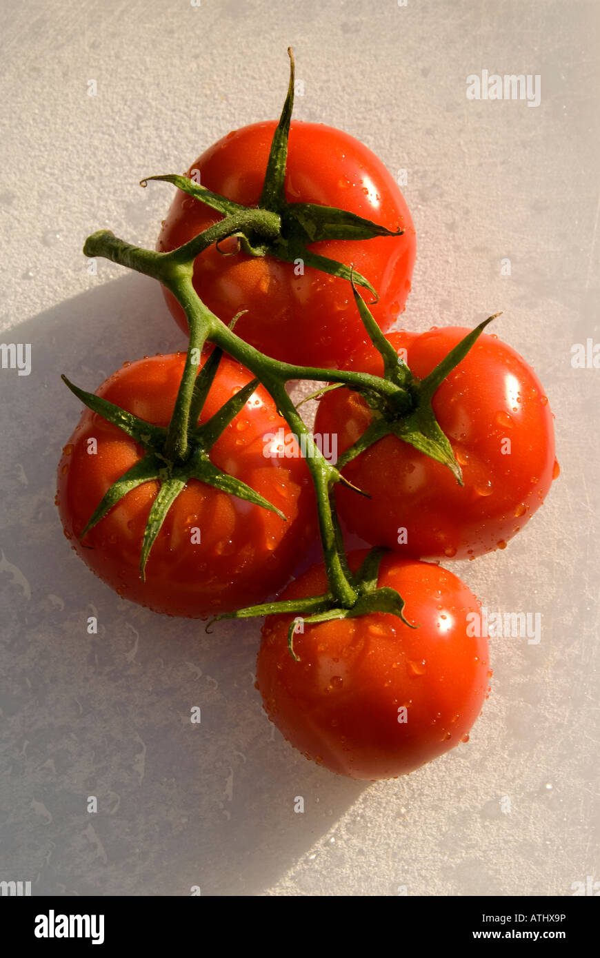 Four red tomatoes on vine Stock Photo - Alamy